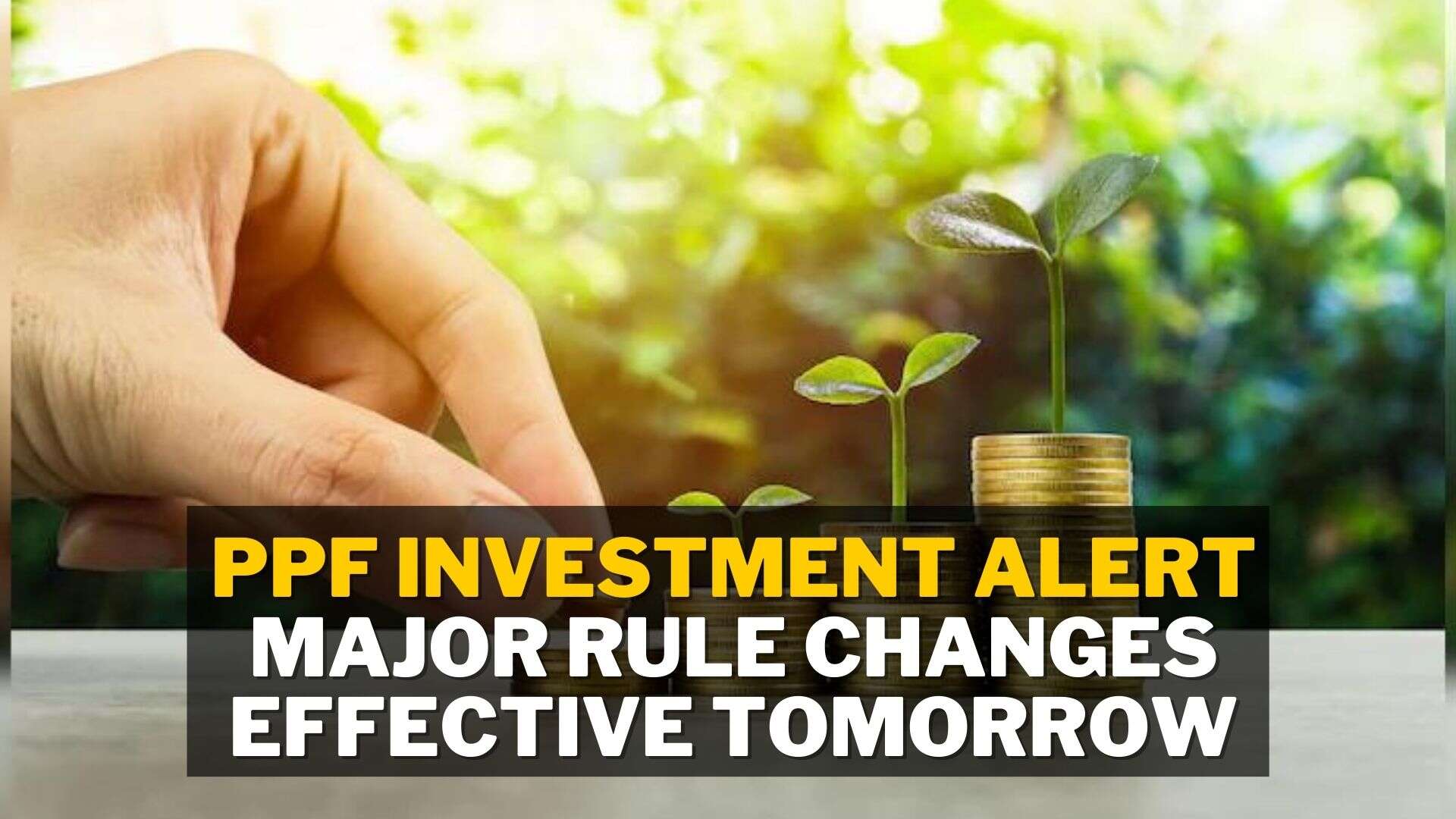 PPF Investment Alert: Major Rule Changes Effective Tomorrow—What You ...