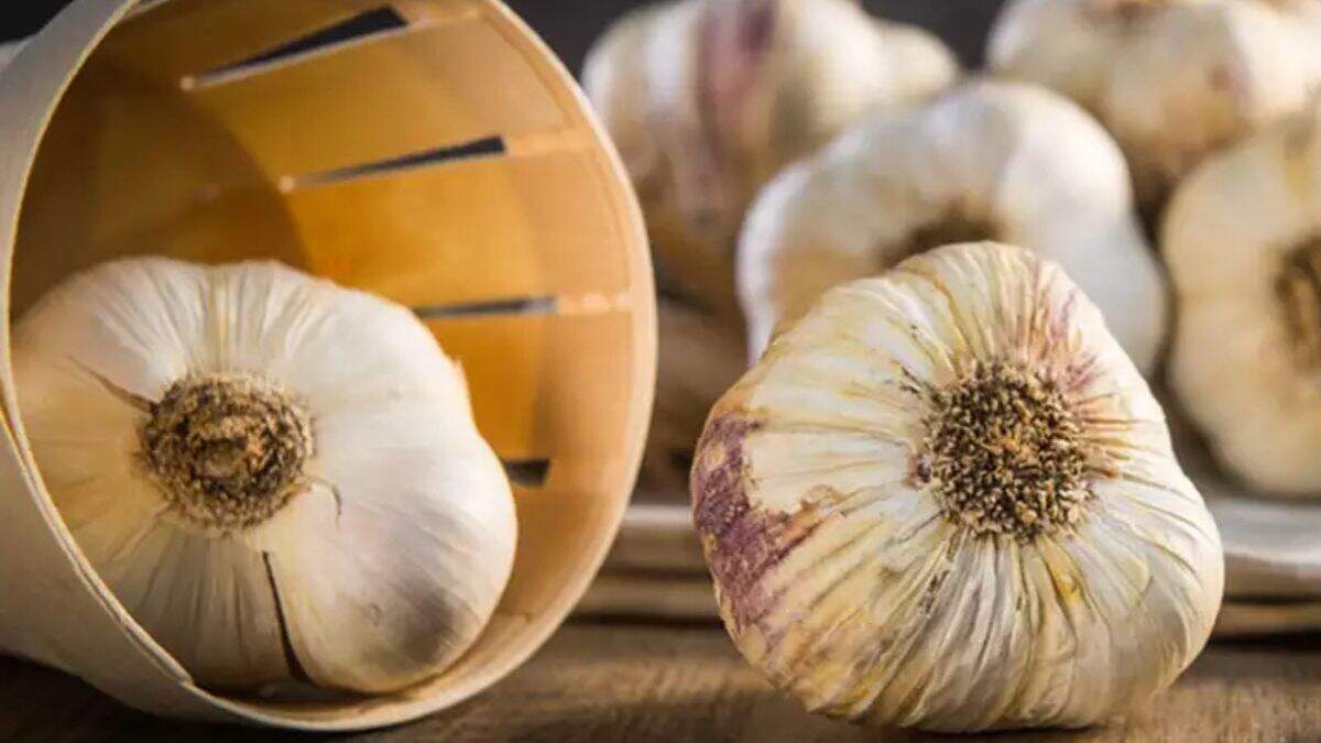 Vegetable Prices Skyrocket: Garlic Prices Climb to ₹400 per Kg This ...