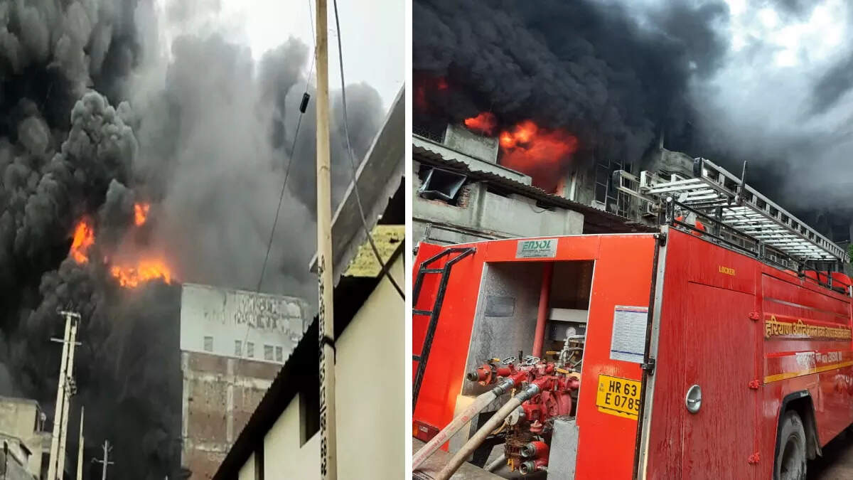 Bahadurgarh Factory Fire: Massive Blaze Engulfs Three Factories, Firefighters Struggle to ...