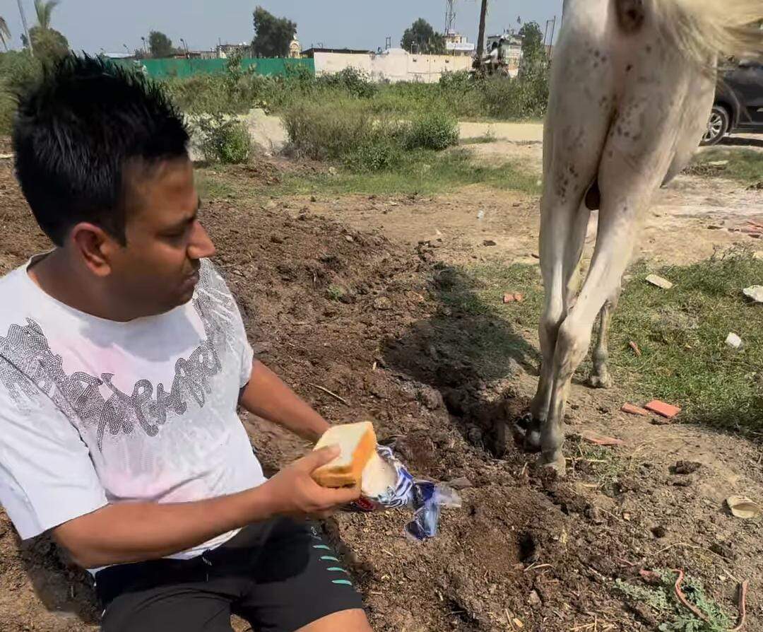 Puneet Superstar Goes Viral: Shocking Video of Him Eating Horse Manure ...