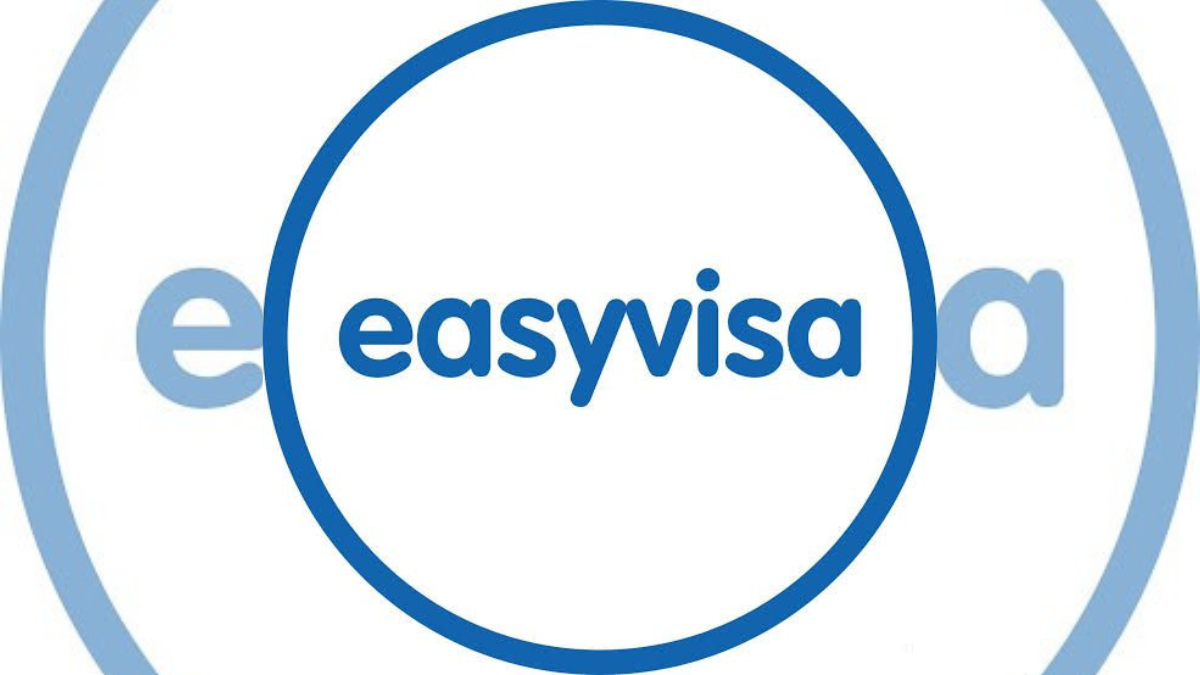 Easy Visa Education: 3 Other Firms Face Probe Charges Amid Central ...